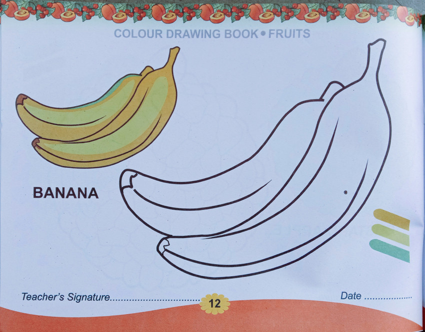 Share More Than 156 Fruits Sketch For Colouring In eteachers Share More Than 156 Fruits Sketch For Colouring In eteachers