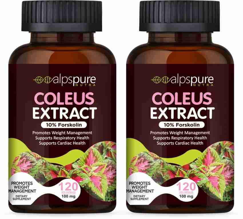 Coleus Forskohlii Extract