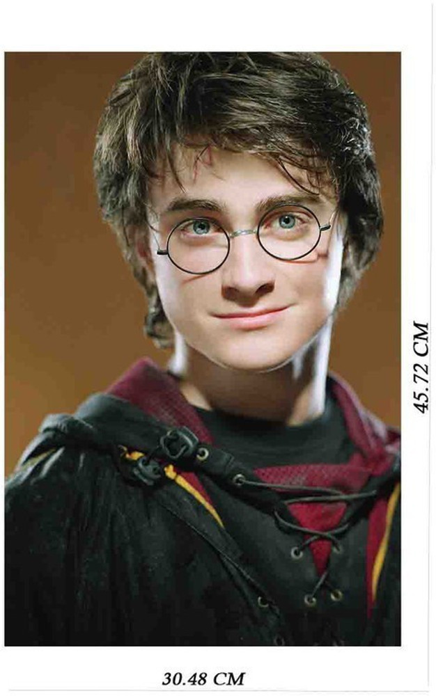 Harry Potter Movie Characters Poster