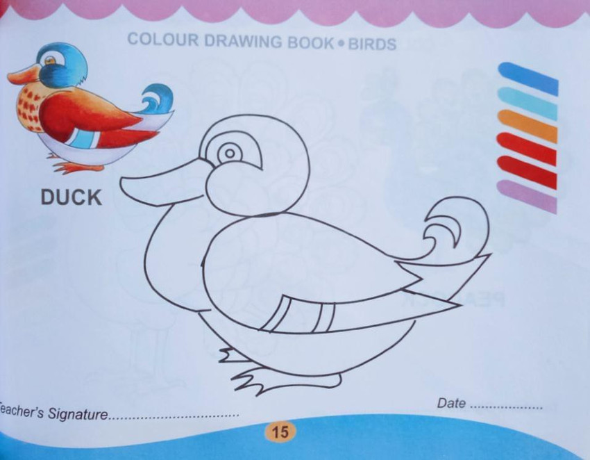 how to draw a bird kindergarten