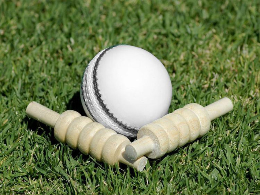 White Cricket Ball On Grass