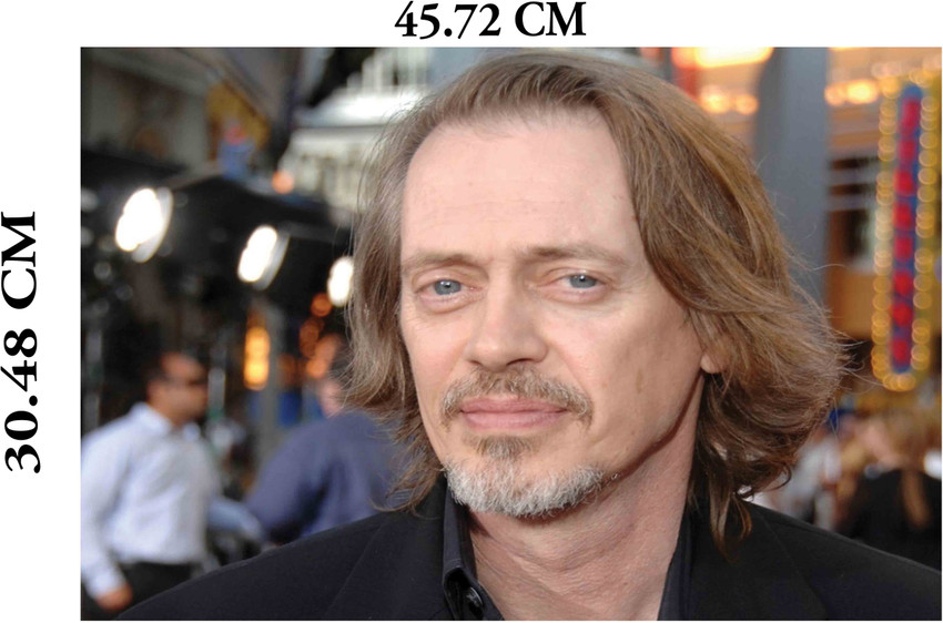 Steve Buscemi Double Eyes