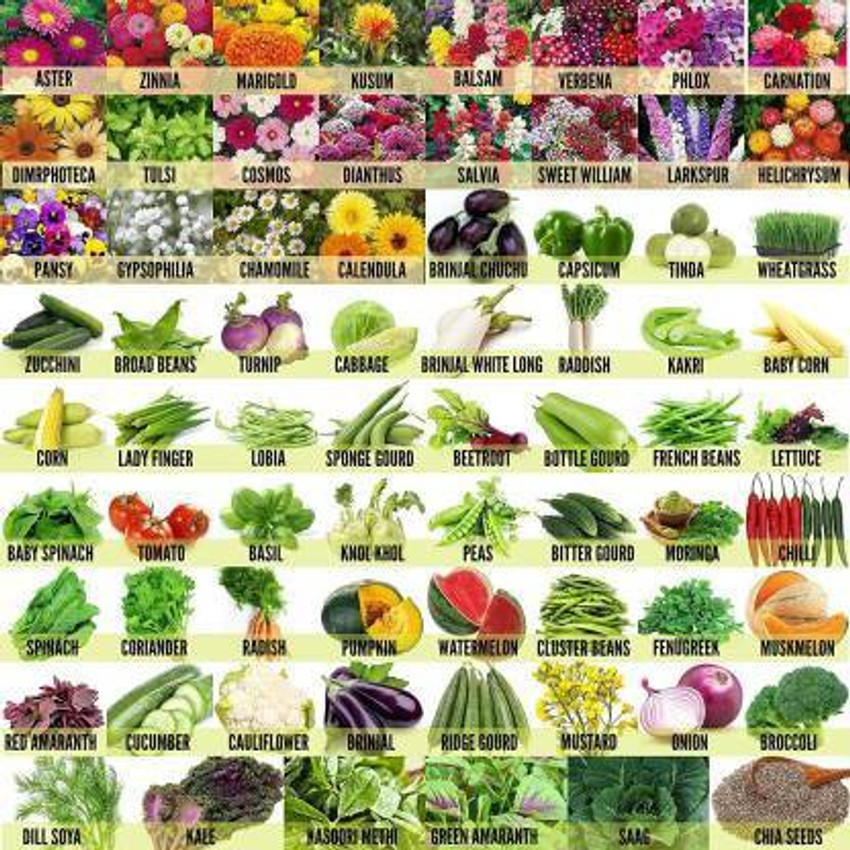 Flowers Vegetables Name