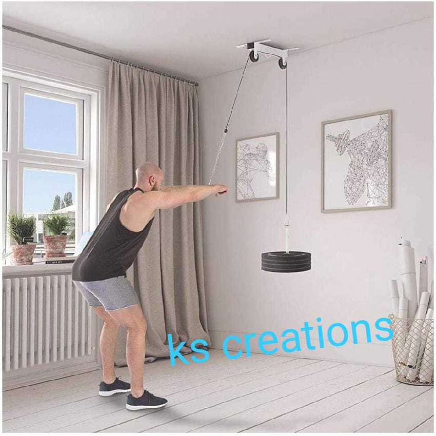 Ceiling Mount Pulley System | Shelly Lighting