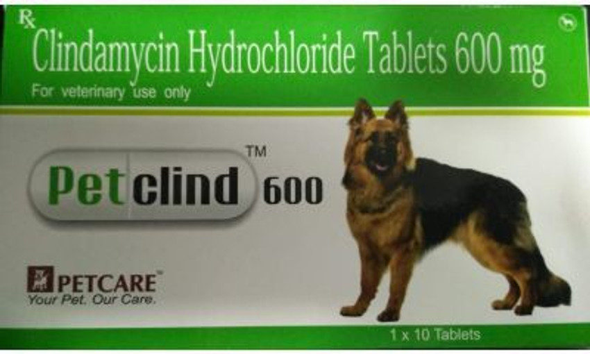 Can Clindamyacin Be Used On Dogs For Teeth Issues