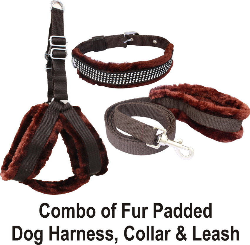 Dog harness collar combination store