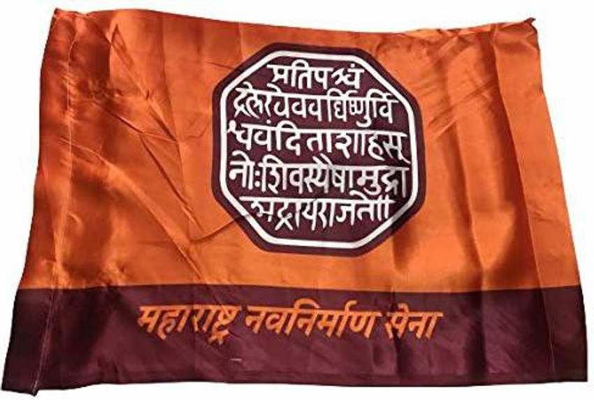 Mns Logo Flag