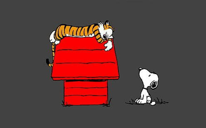 Cartoon Snoopy Sleeping