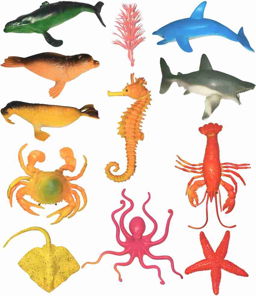 Images Of Water Animals With Names