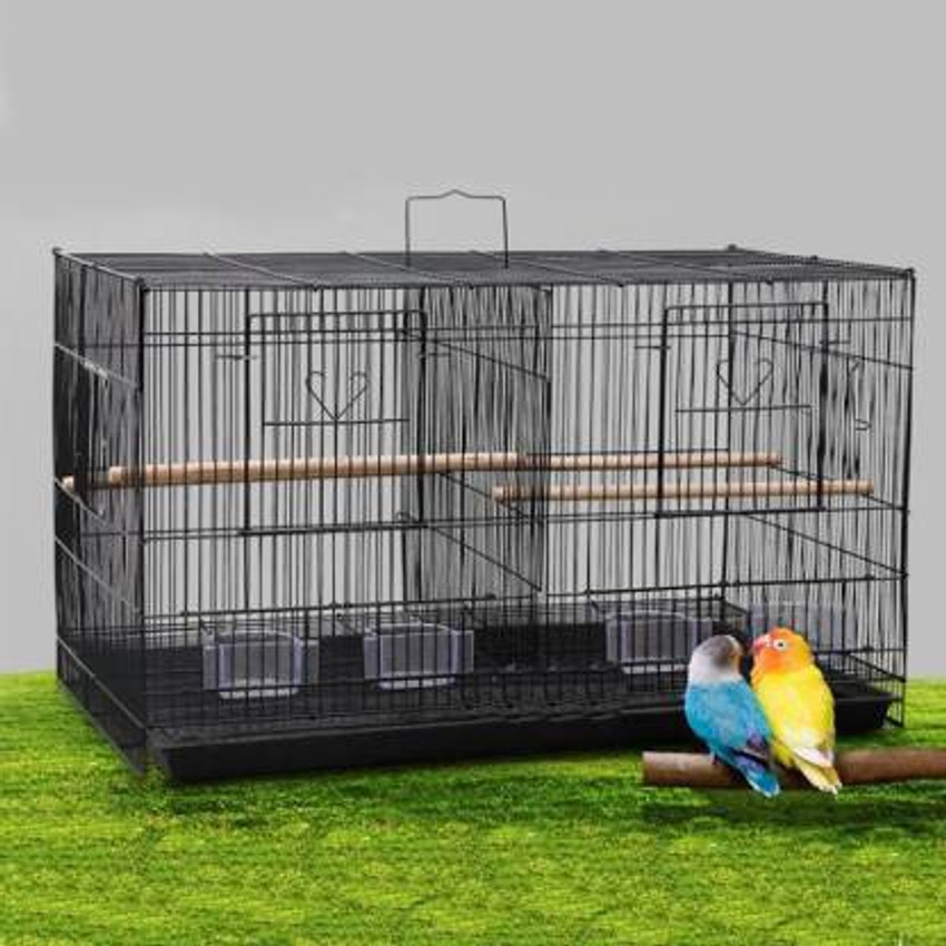 African Love Birds Cage Design