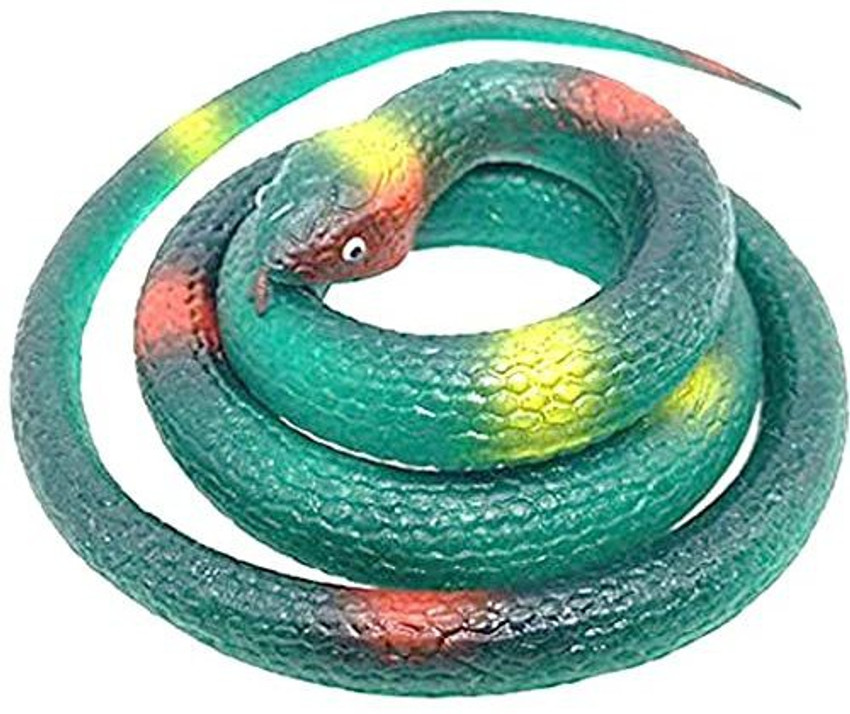 Real Colorful Snake
