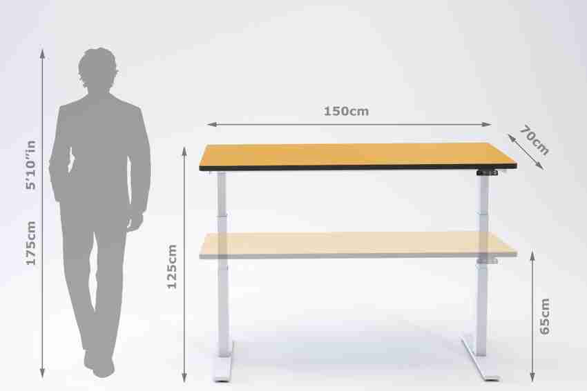Monarch Elevate Electric Height Adjustable Table Electric 3 Stage Dual Motor Ergonomic Sit Stand Solution Laminate Table Top Desk Pastel Orange Engineered Wood Office Table Price in India