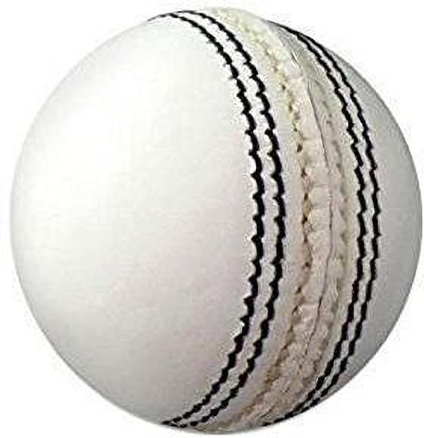 White Cricket Ball Vector