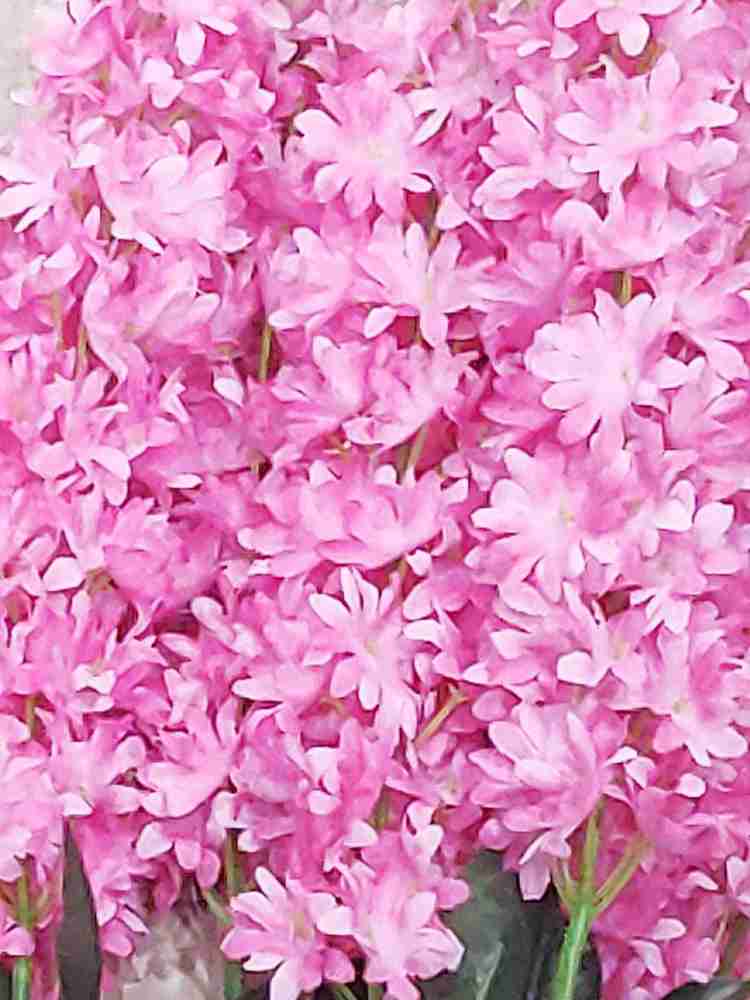 Pink Jasmine Flower Wallpaper