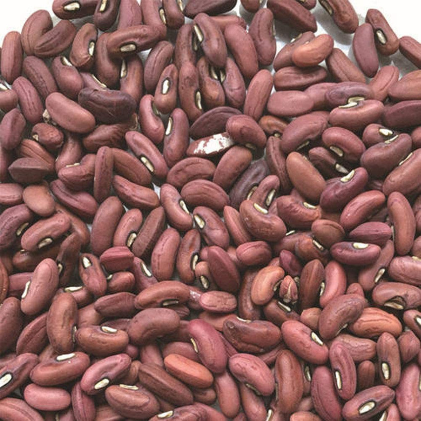 Yard Long Bean Seed