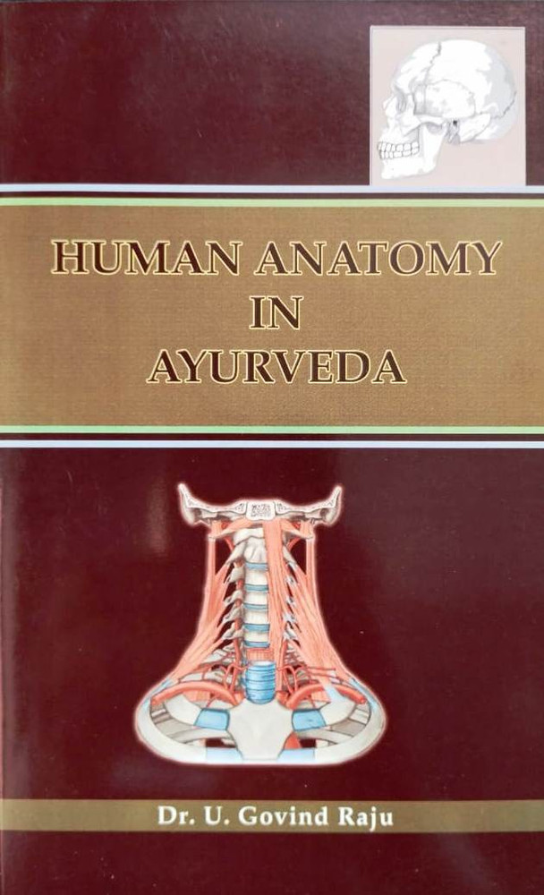 Best Human Anatomy Book
