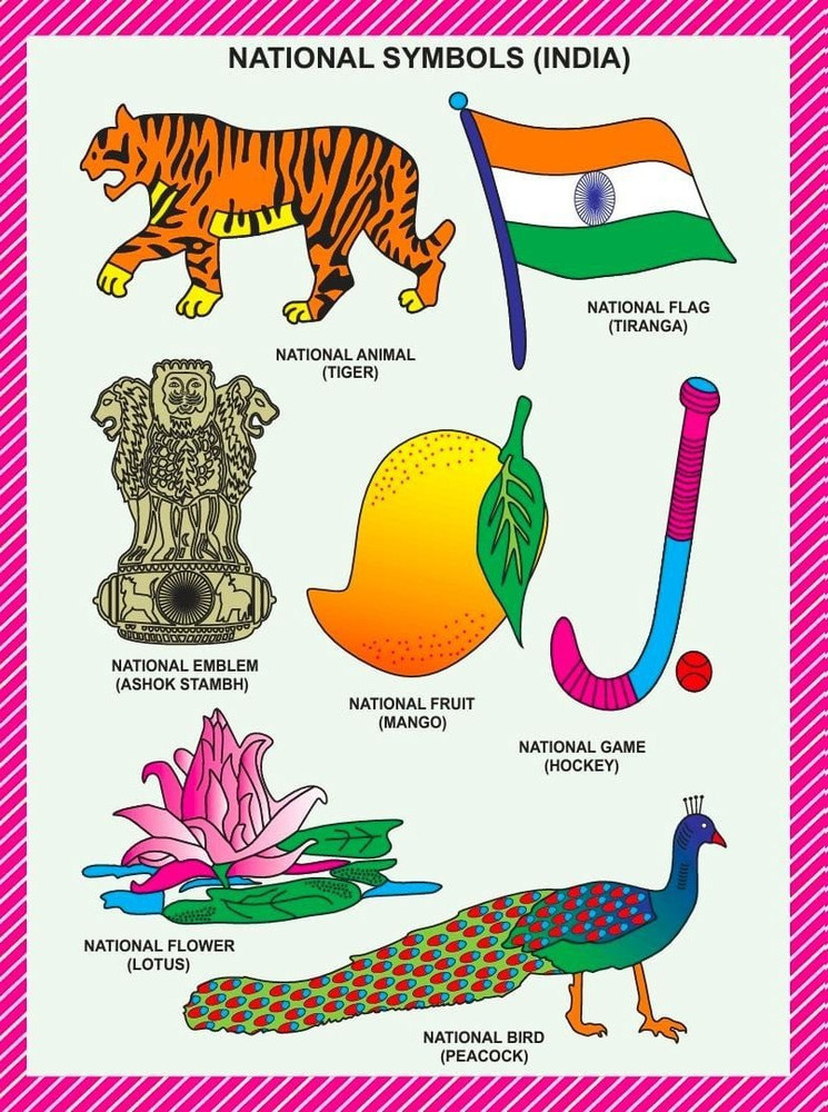 Indian National Symbols And Their Meanings