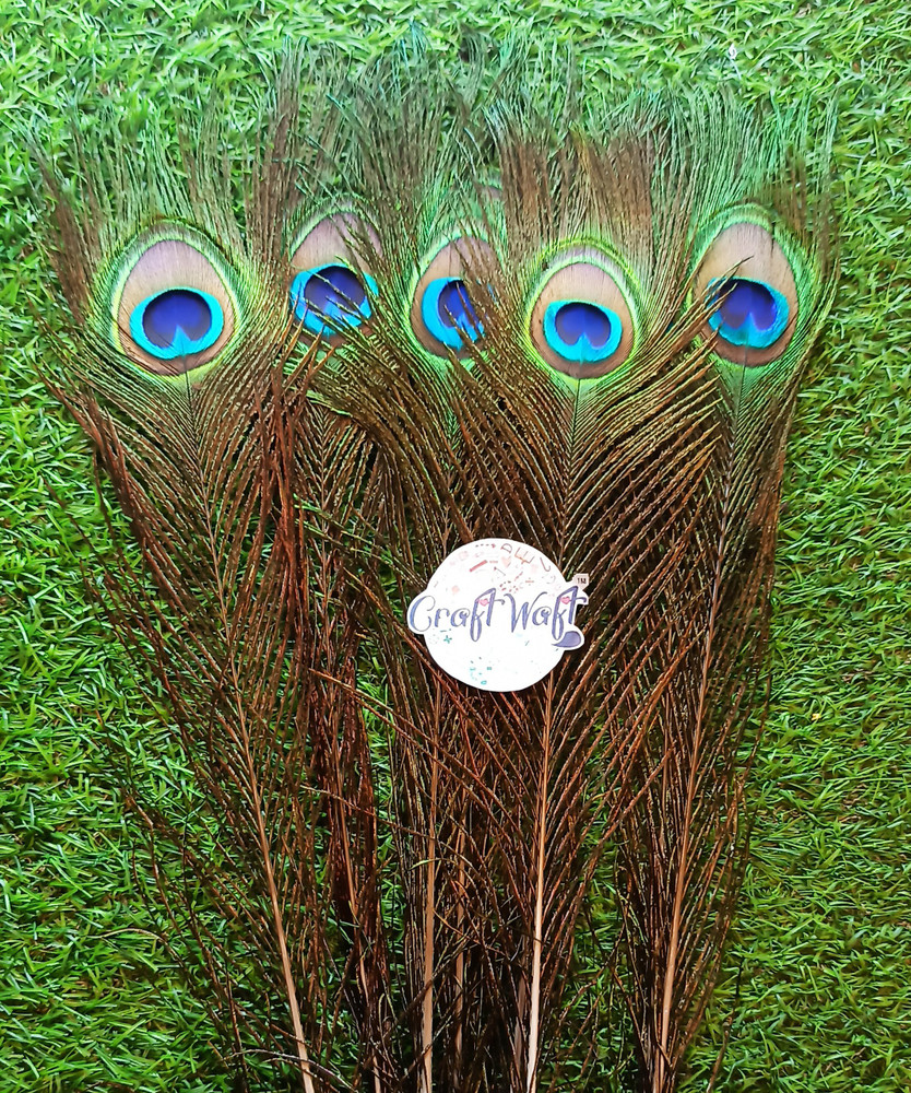 CRAFTWAFT Pack of 200 Decorative Feathers Price in India Buy CRAFTWAFT Pack of 200 Decorative Feathers online at Flipkart