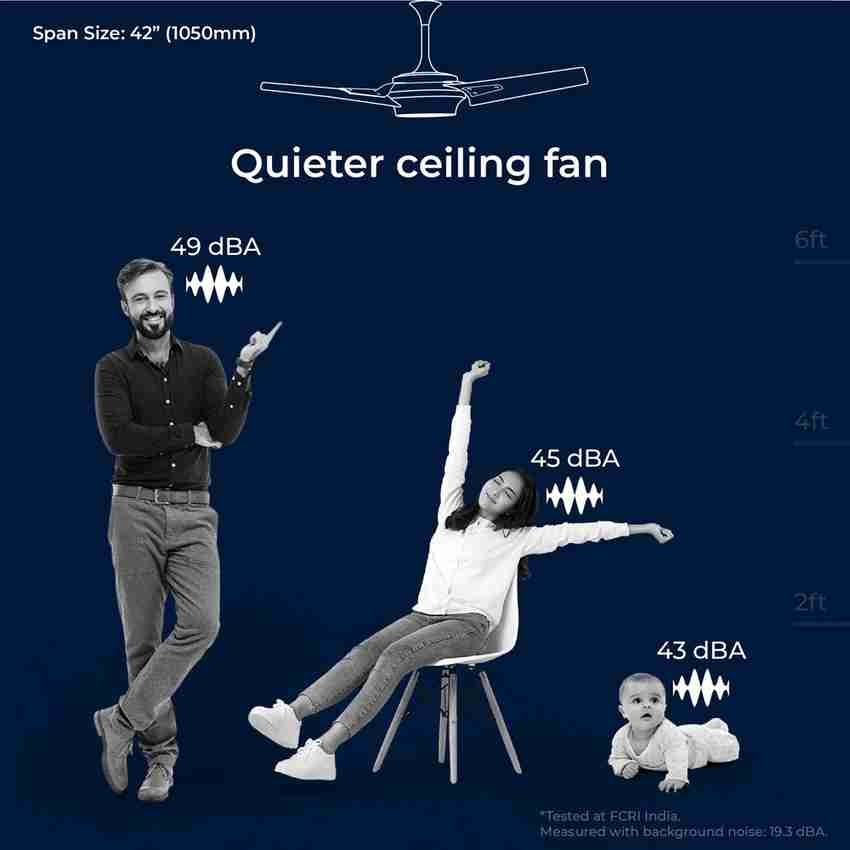Ceiling Fan Dimensions India | Shelly Lighting