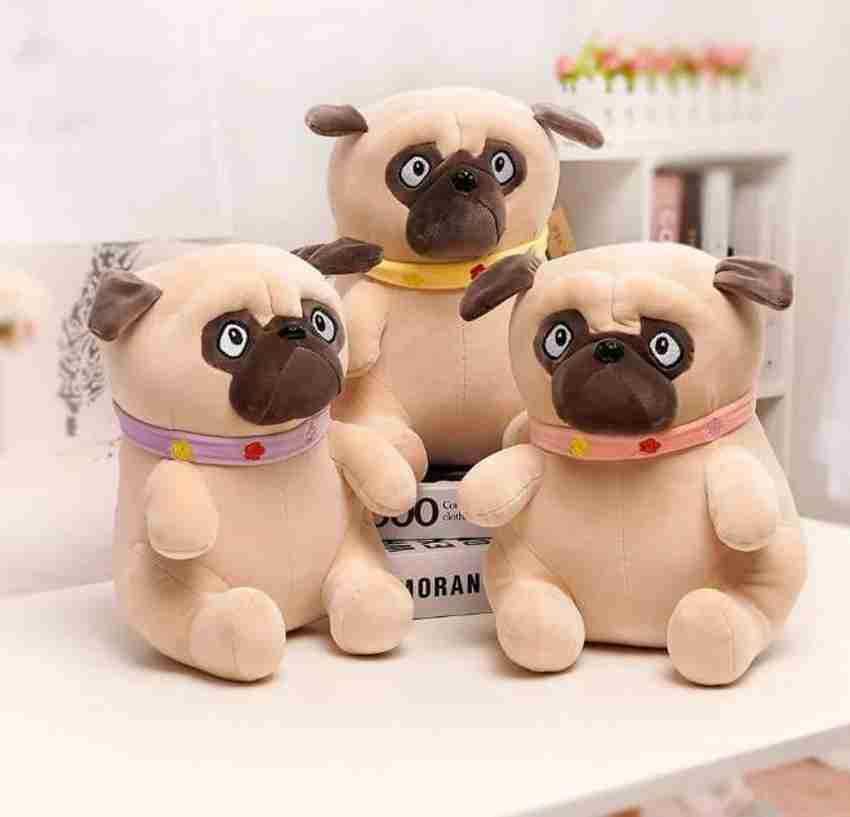 Super Cute Pugs