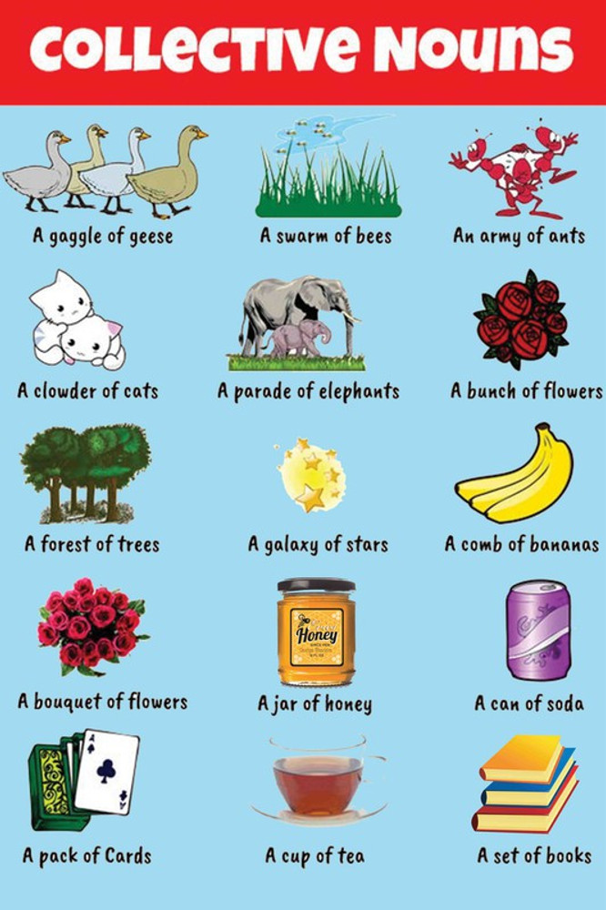 Collective Nouns Poster