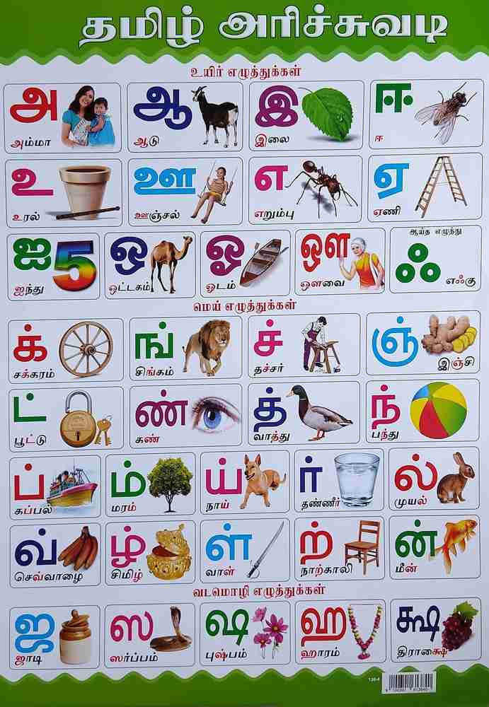 Full Color Laminated Paper Tamil Alphabet Chart, Size:, 47% OFF