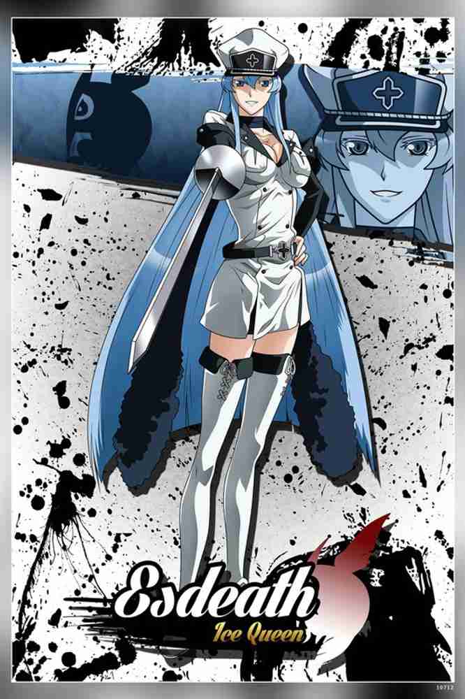Esdeath Wallpapers 80 Pictures