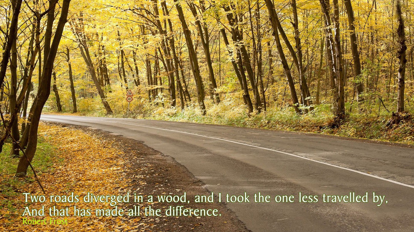 Two Roads Diverged Painting