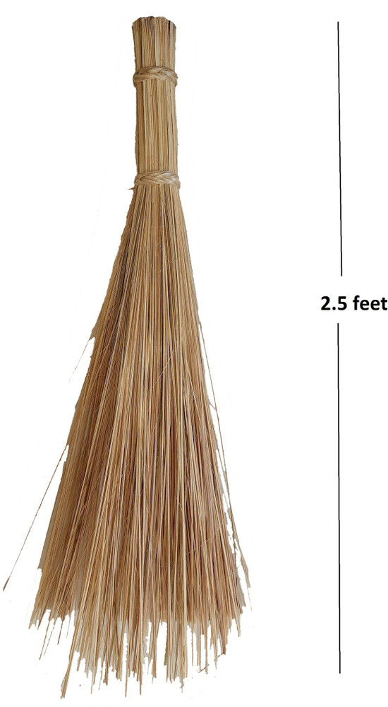 Indian Broom Clipart