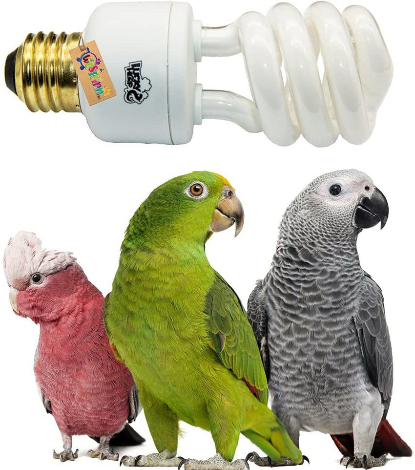 Full Spectrum Light Bulbs For Birds | Shelly Lighting