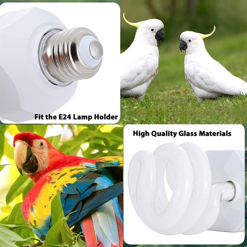 Full Spectrum Light Bulbs For Birds | Shelly Lighting