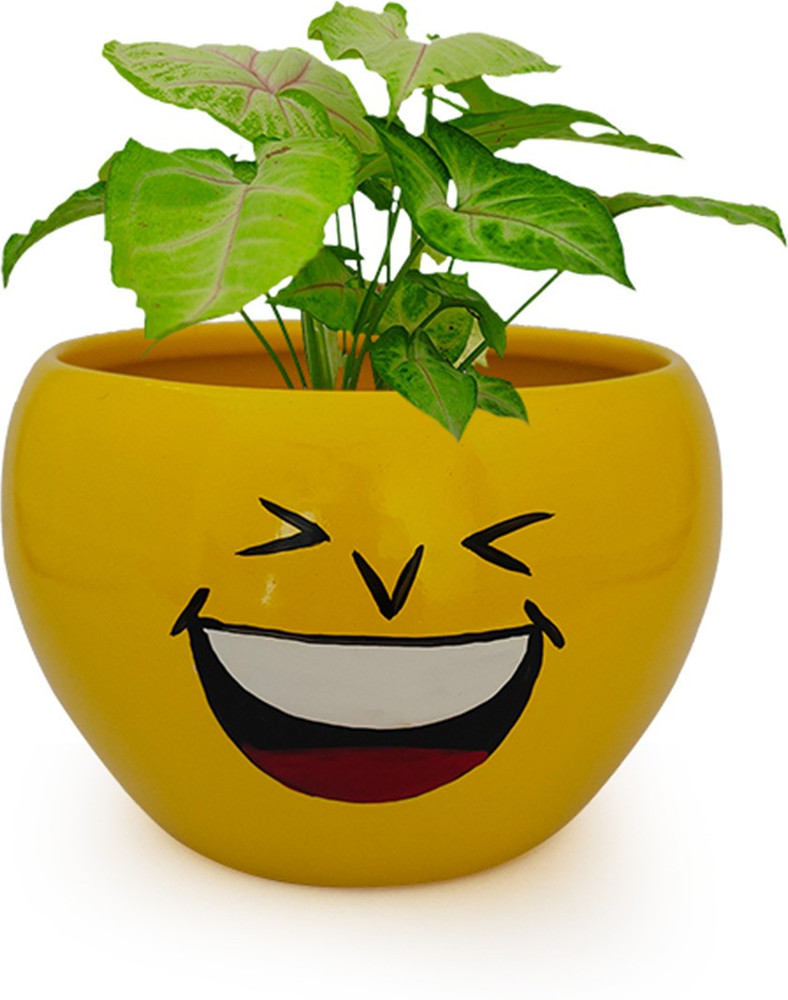 Plant Emoji