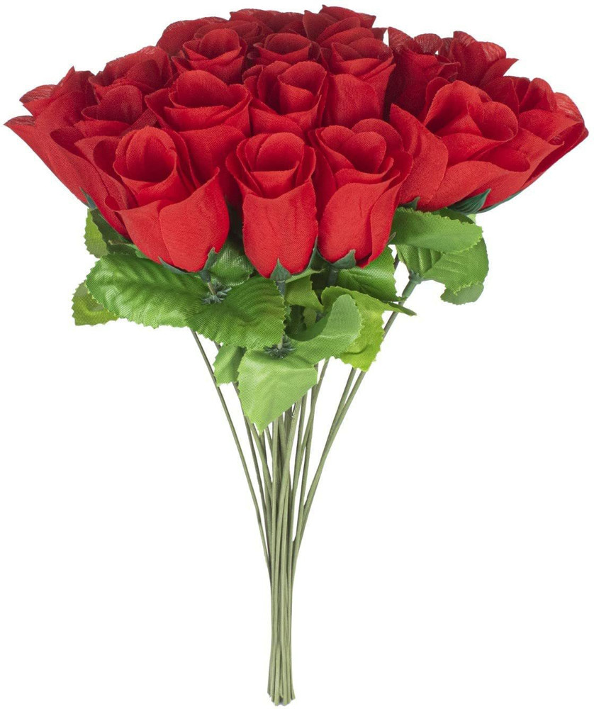 Rose Flower Photos Gallery | Best Flower Site