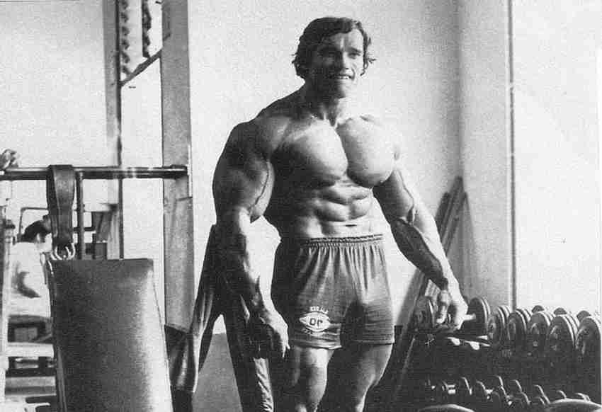 Arnold Schwarzenegger Body Wallpaper