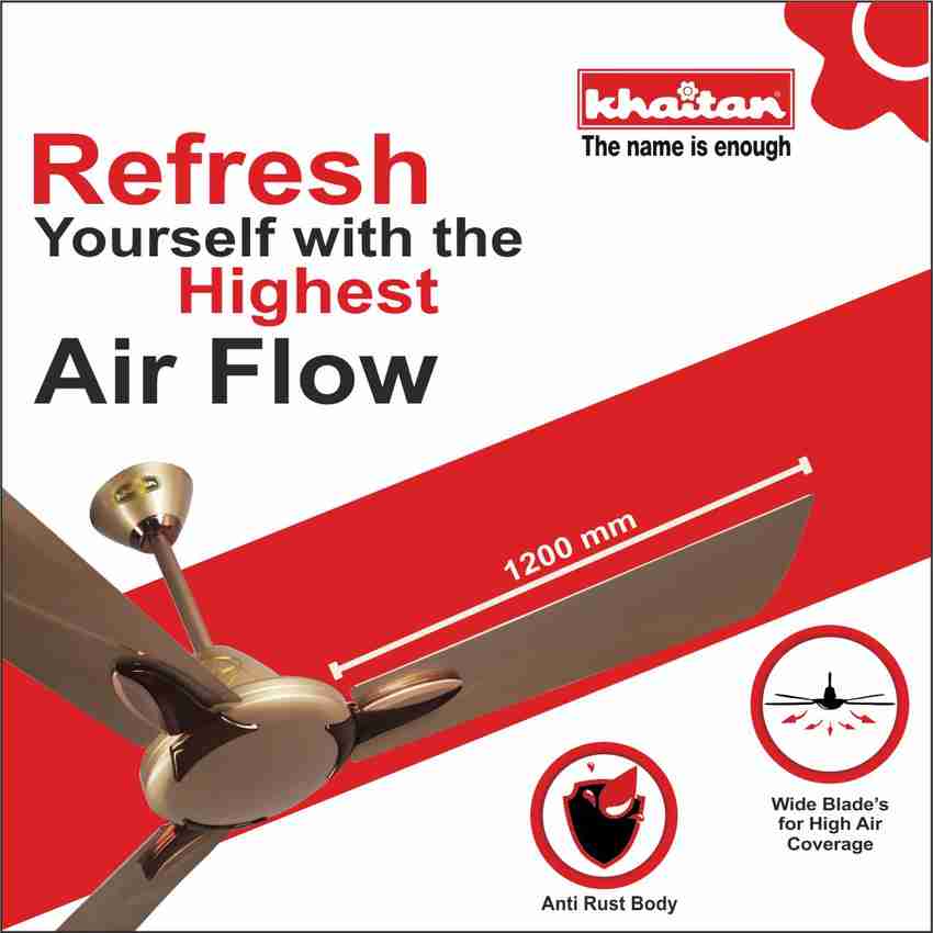 Ceiling Fan Box Design | Shelly Lighting