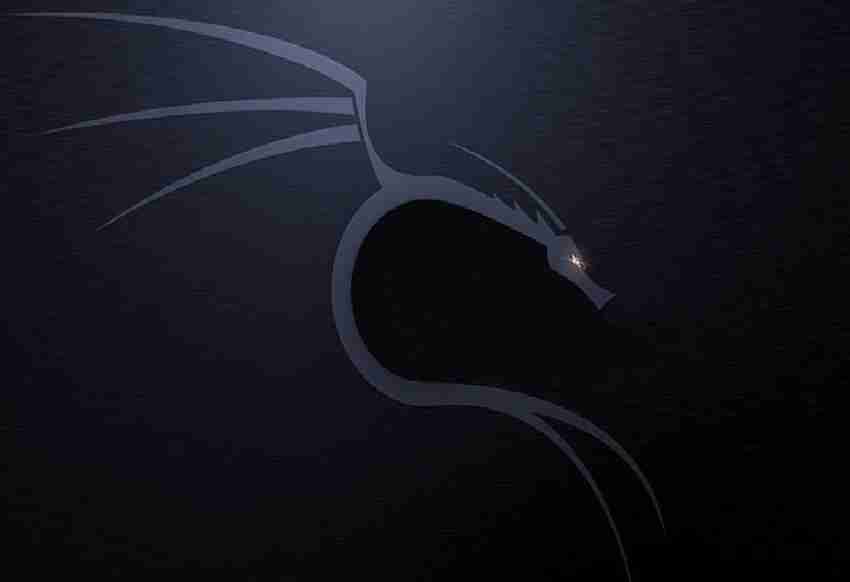 Kali Linux Wallpapers Hd Kali Linux Logo Wallpapers Wallpaper Cave