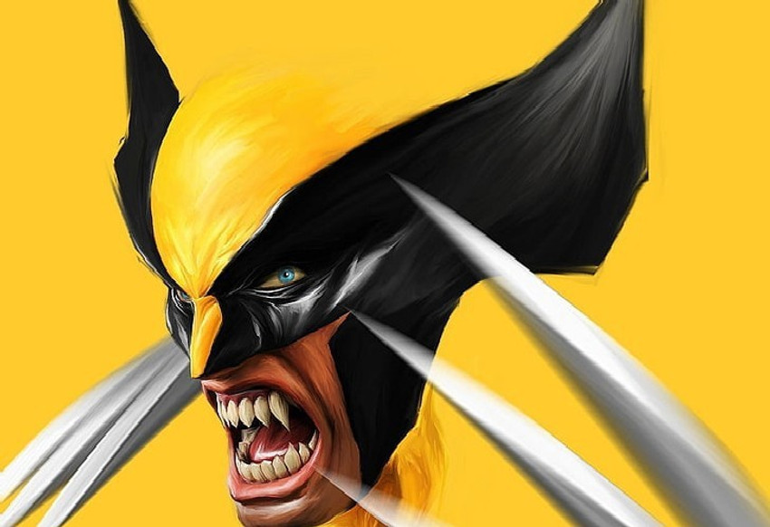 Wolverine Marvel Wallpapers Wallpaper Cave