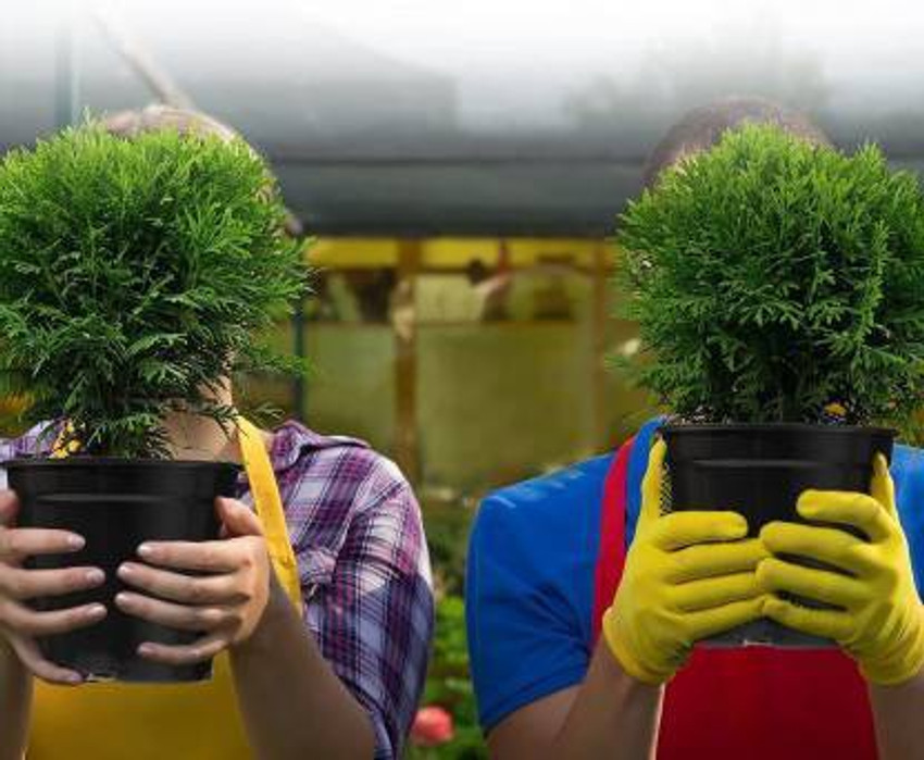 Nursery Plant Pots Explained: How Nursery Pot Sizes Are, 48% OFF