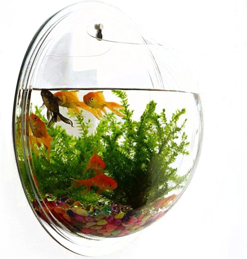 Hanging Wall Fish Tank