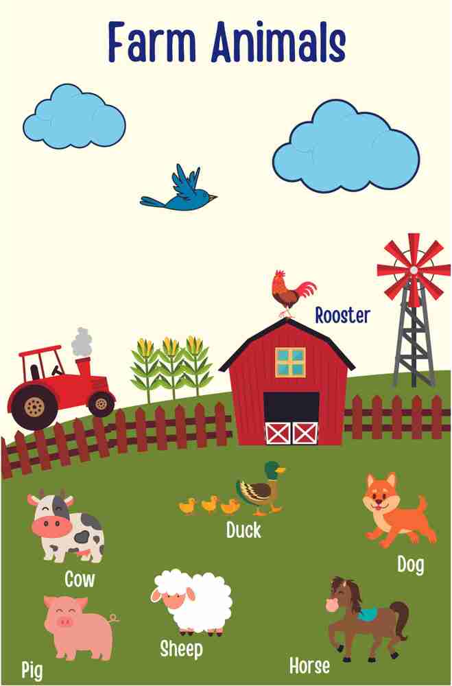 Real Farm Animals Pictures Chart