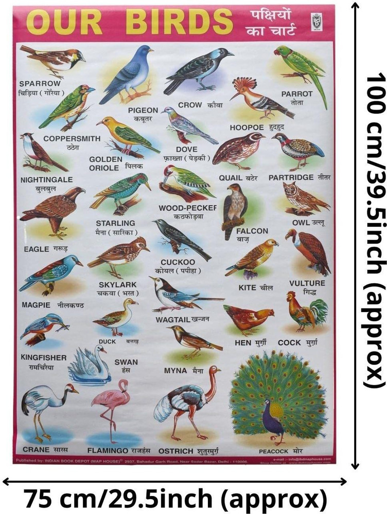 Birds Chart