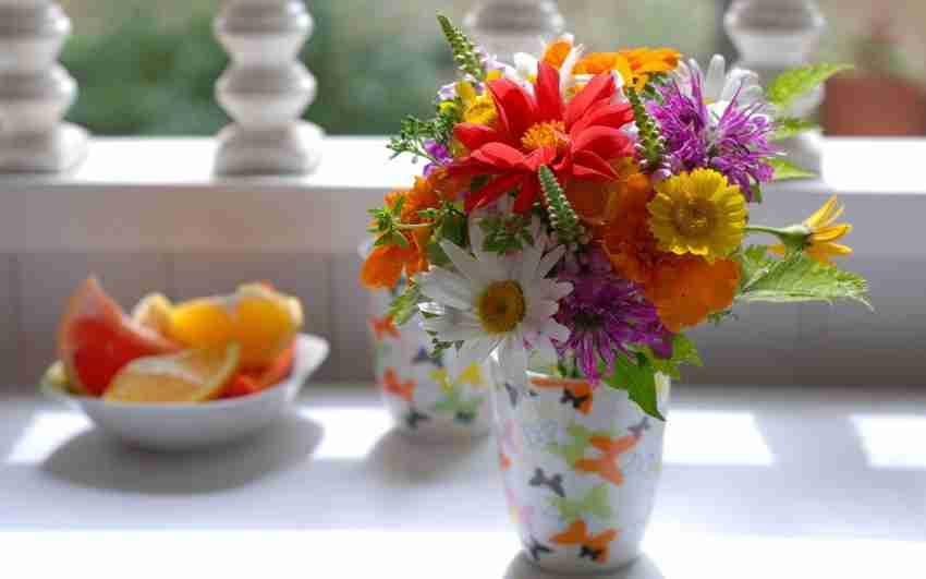 Flower Pot Images Wallpaper Hd | Best Flower Site