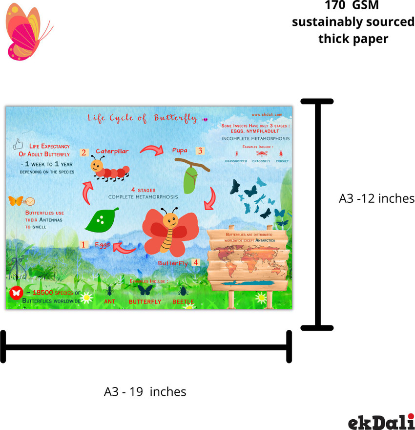 What Size Is A3 Poster In Inches
