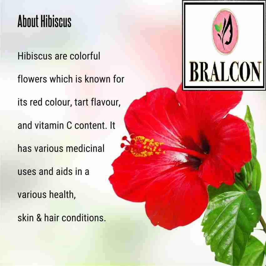 Hibiscus Flower Information | Best Flower Site