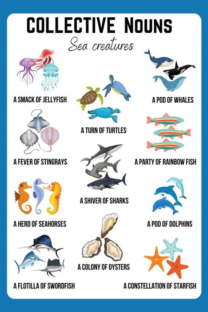 Collective Nouns Poster