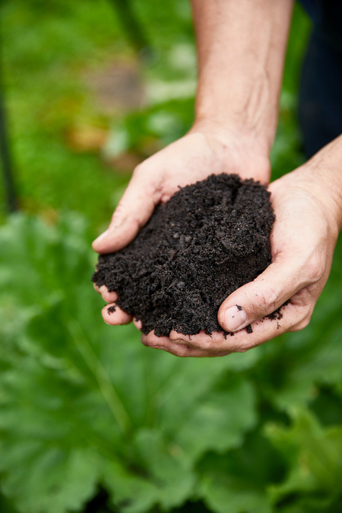 Organic Fertilizer Compost