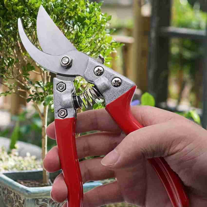 Pruner shears store