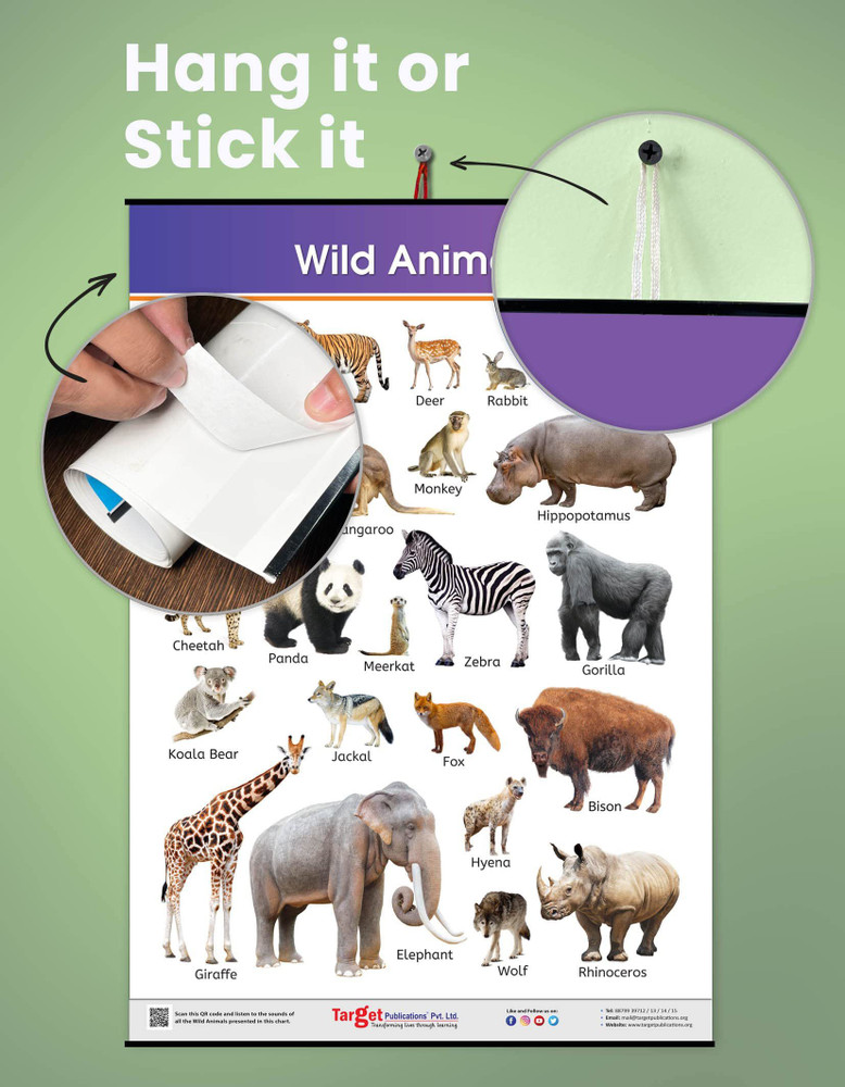 Lets learn about Wild Animals Informational Text with real photos ...