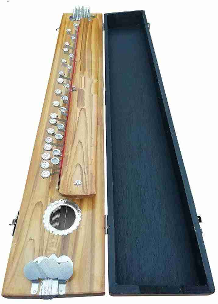 Bulbul Tarang Musical Instrument