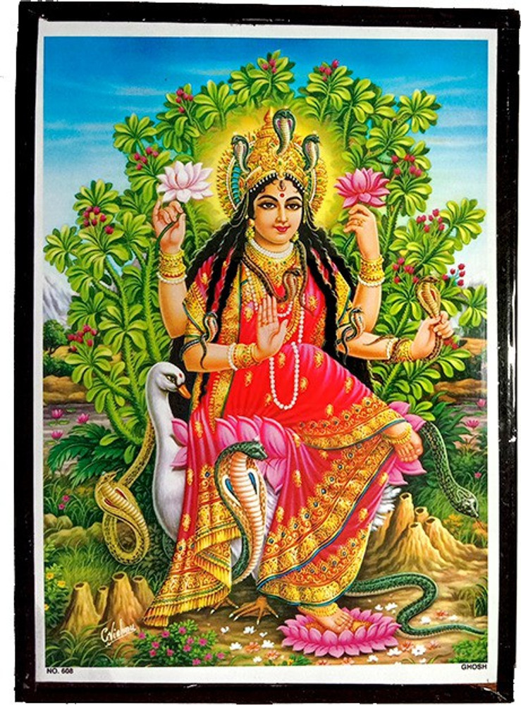 Manasa Goddess